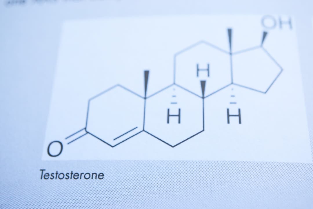 Do Women Have Testosterone?