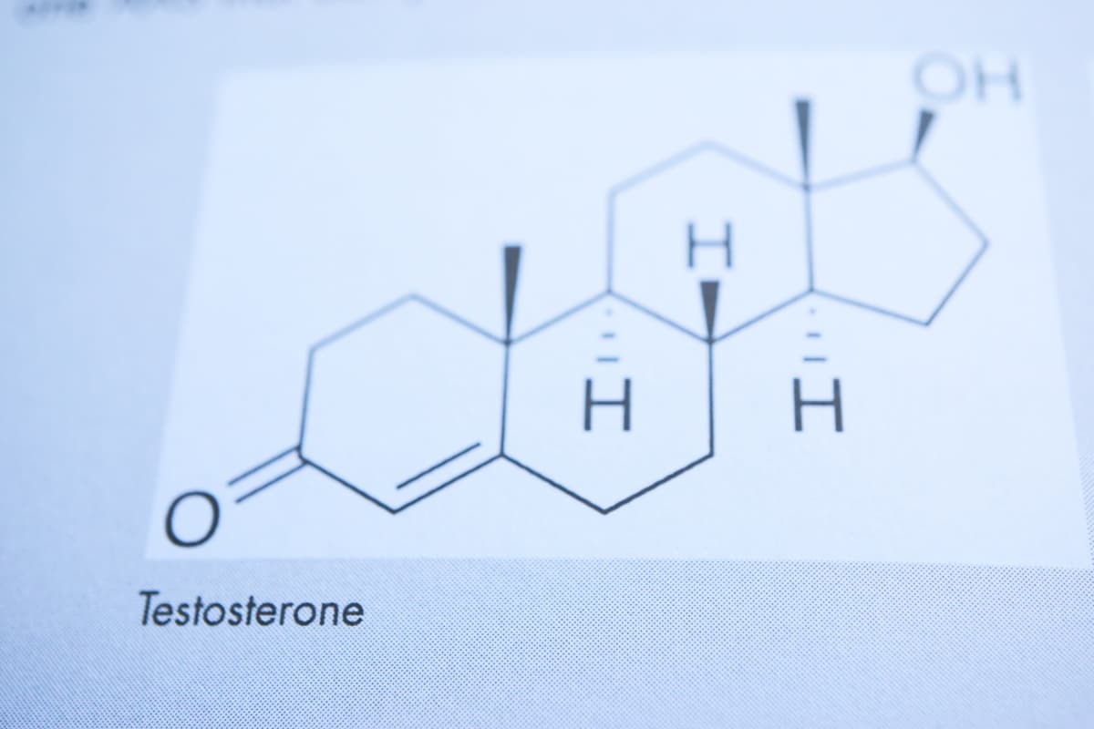 Do Women Have Testosterone?